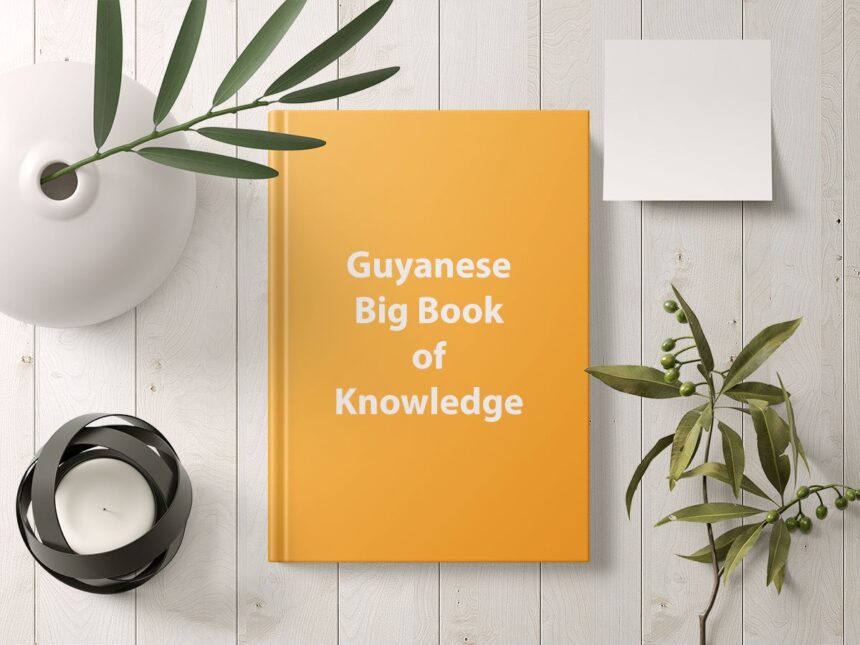 Shop Little Guyana - Bringing you the best of Little Guyana